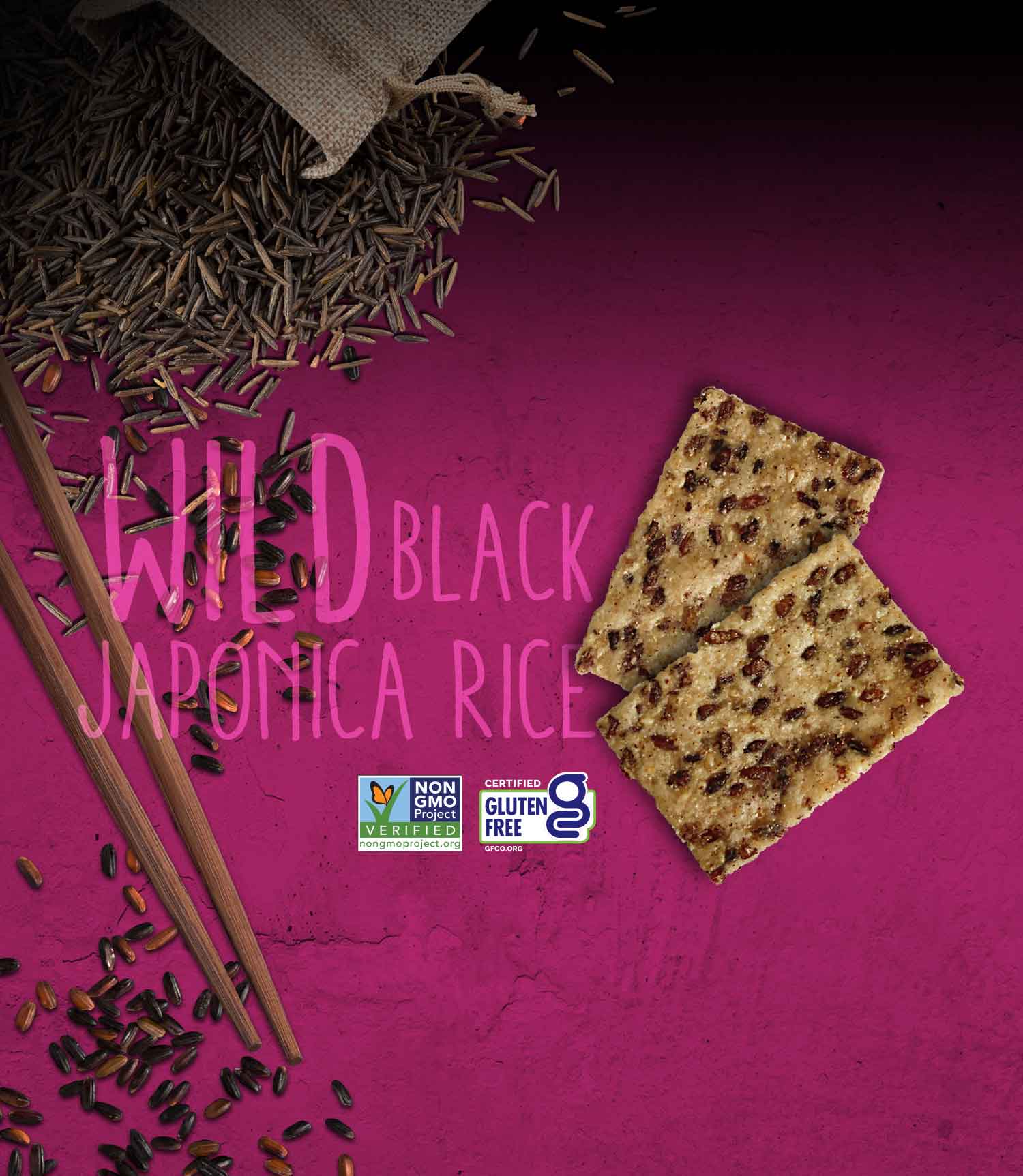 Whole Grain Gluten Free Rice Chips - Riceworks