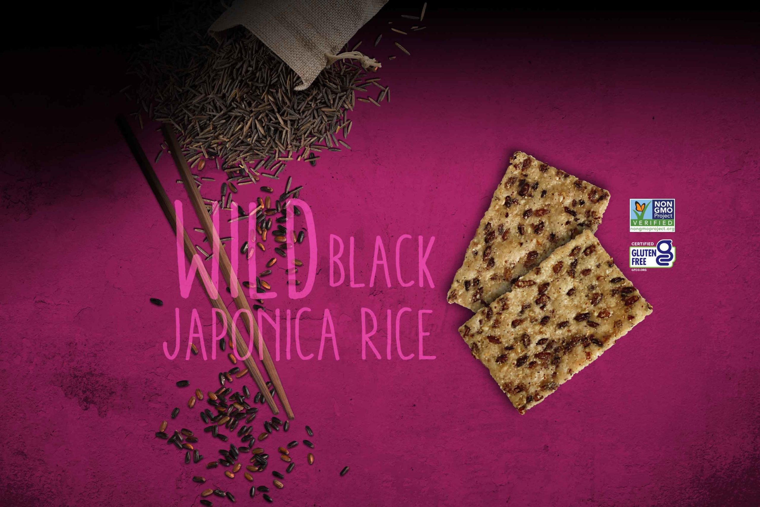 Whole Grain Gluten Free Rice Chips - Riceworks